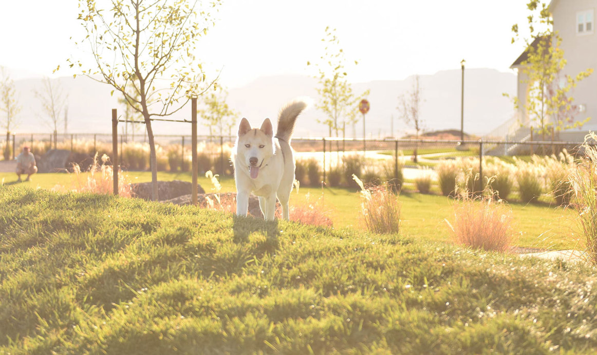 Daybreak Parks, Trails & Open Space - Daybreak Utah Homes
